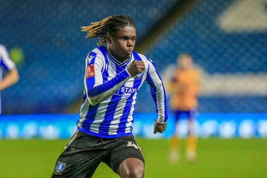 Alex Mighten 45 Sheffield Wednesday During Editorial Stock Photo ...