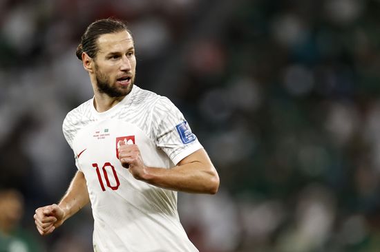 Grzegorz Krychowiak Poland During Fifa World Editorial Stock Photo ...
