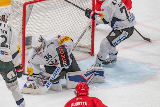 Lausanne Switzerland 11262022 Jeffrey Meier Goalie Editorial Stock ...