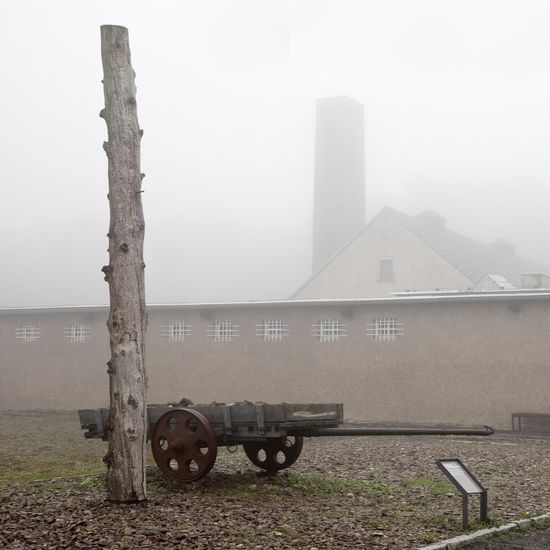 Stake Cart Crematorium Fog Beech Forest Editorial Stock Photo - Stock ...