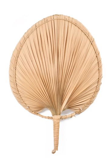 Dried Natural Palm Tree Leaf Shaped Editorial Stock Photo - Stock Image ...