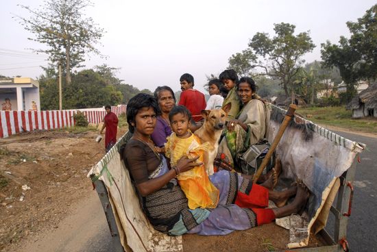 Villagers Traveling On Bullock Cart Their Editorial Stock Photo Stock