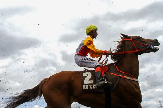 Jockey Spurring His Horse During 2022 Editorial Stock Photo - Stock ...