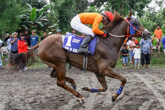 Jockey Spurring His Horse During 2022 Editorial Stock Photo - Stock ...