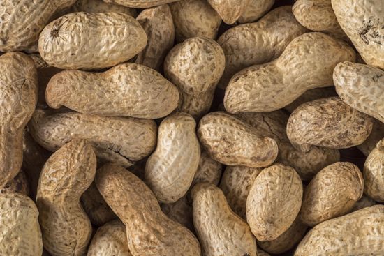 Closeup Peanuts Groundnuts Goobers Monkey Nuts Editorial Stock Photo ...