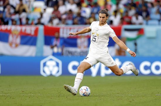 Srdjan Babic During Fifa World Cup Editorial Stock Photo - Stock Image ...