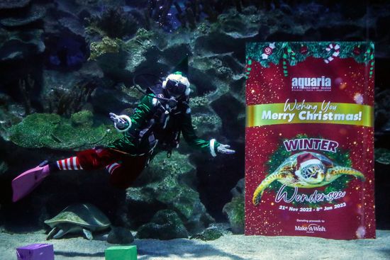Scuba Diver Dressed Elf Swims Fish Editorial Stock Photo - Stock Image ...