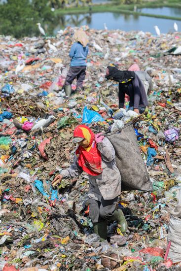 Scavengers Collect Plastic Materials Garbage Dumpsite Editorial Stock ...