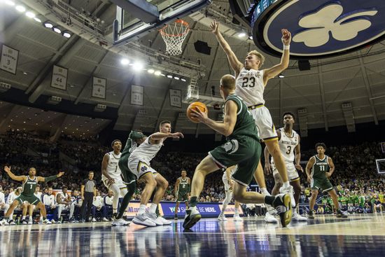 Michigan State Forward Hauser Joey 10 Editorial Stock Photo - Stock ...