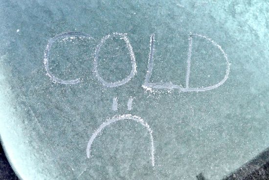 After Good Frost Cold Sad Face Editorial Stock Photo - Stock Image ...