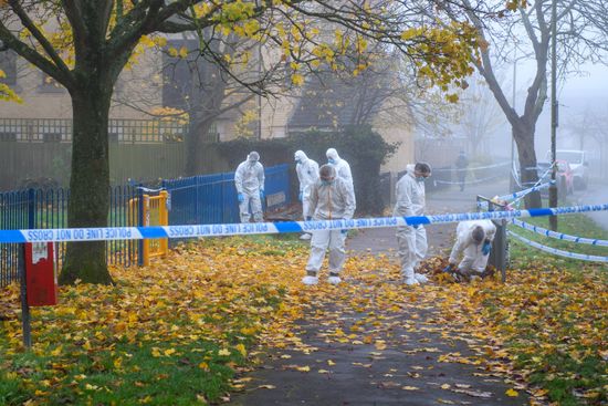 Police Search Team Scene Wood Farm Editorial Stock Photo - Stock Image ...