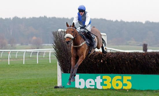 Ballinslea Bridge Ellis Collier Wins Tis Editorial Stock Photo - Stock ...