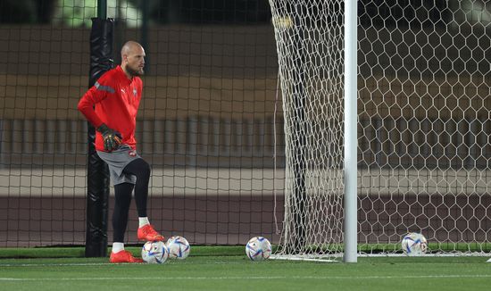 Predrag Rajkovic During Serbian National Football Editorial Stock Photo ...