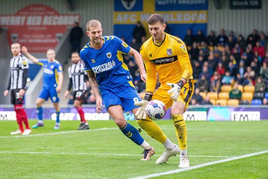 Afc Wimbledon Midfielder Harry Pell 8 Editorial Stock Photo - Stock ...