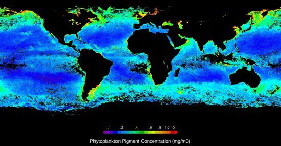 Phytoplankton Ocean Map Seawifs Level3 Standard Editorial Stock Photo ...