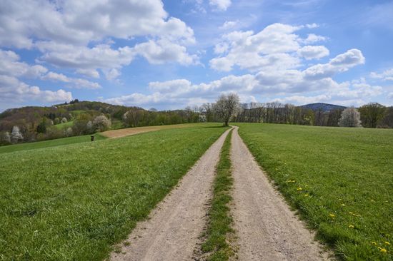 Landscape Field Path Grain Field Meadow Editorial Stock Photo - Stock ...