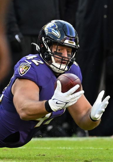 Baltimore Ravens Fullback Patrick Ricard 42 Editorial Stock Photo ...