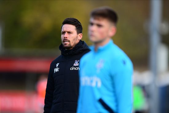 Paddy Mccarthy Head Coach Crystal Palace Editorial Stock Photo - Stock ...