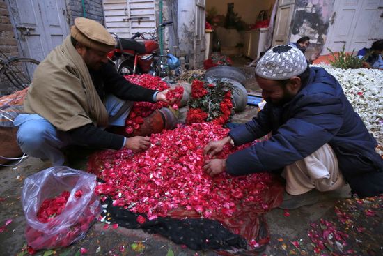 Pakistani Flower Vendors Arrange Flowers Stall Editorial Stock Photo ...