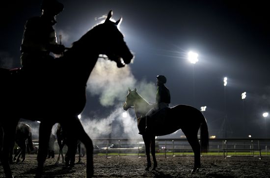 Kevin Stott Riding Ranger Thunderbolt Freezing Editorial Stock Photo ...
