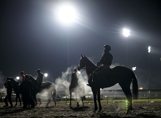 Kevin Stott Riding Ranger Thunderbolt Freezing Editorial Stock Photo ...