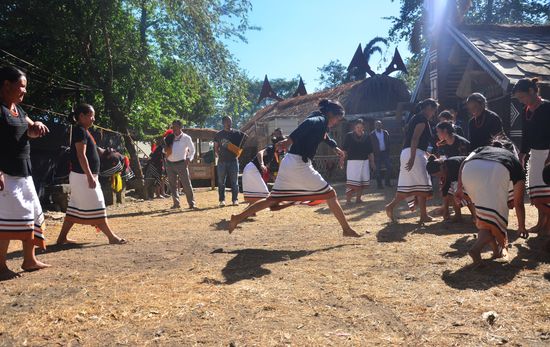Naga Women Angami Tribe Perform Traditional Editorial Stock Photo ...