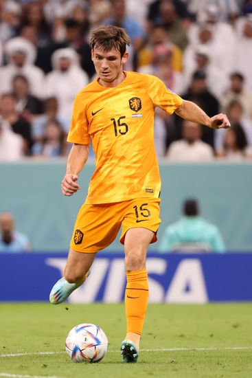 Marten De Roon Netherlands During Fifa Editorial Stock Photo - Stock ...