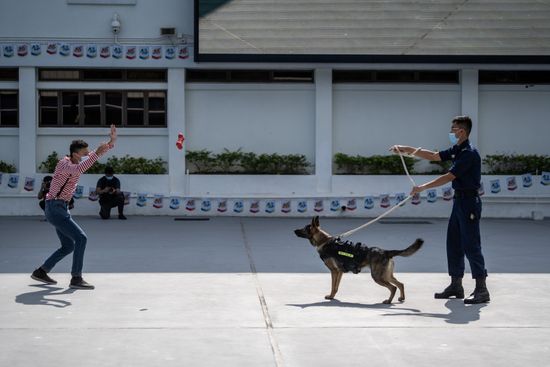 Right Correctional Service Department Officer Dog Editorial Stock Photo ...