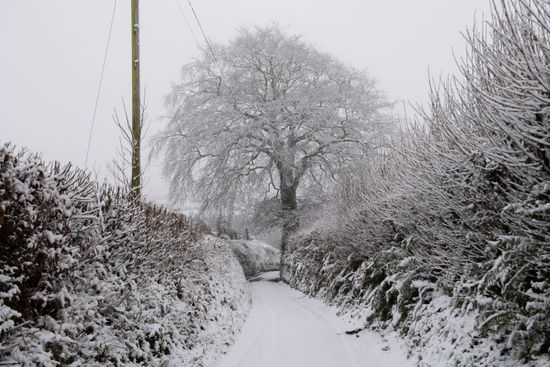 Snow Brompton Regis On Exmoor National Editorial Stock Photo - Stock ...