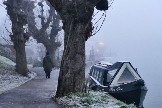 Freezing Fog Along Riverside First Light Editorial Stock Photo - Stock ...