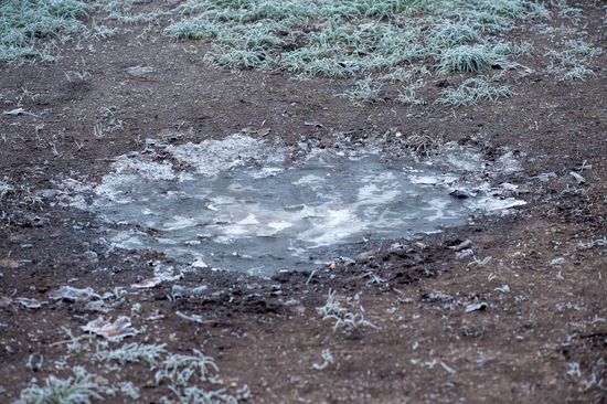 Puddle Turns Ice After Another Night Editorial Stock Photo - Stock ...