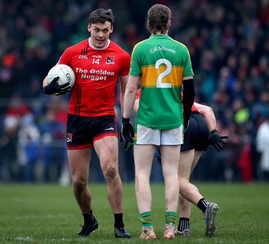 Fossa Vs Kilmurry Fossas David Clifford Editorial Stock Photo - Stock ...