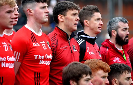 Fossa Vs Kilmurry Fossas David Clifford Editorial Stock Photo - Stock ...