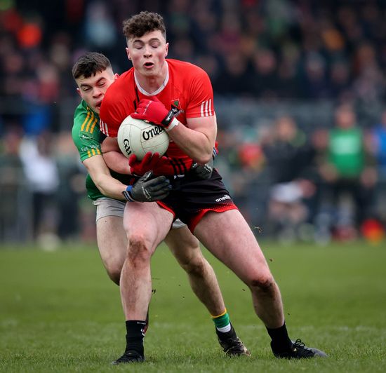 Fossa Vs Kilmurry Fossas Emmet Oshea Editorial Stock Photo - Stock ...