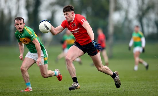 Fossa Vs Kilmurry Fossas Matt Rennie Editorial Stock Photo - Stock ...