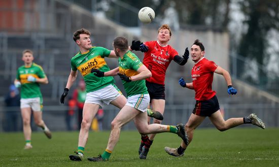 Fossa Vs Kilmurry Fossas Paddy Sheehan Editorial Stock Photo - Stock ...