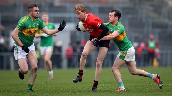 Fossa Vs Kilmurry Fossas Paddy Sheehan Editorial Stock Photo - Stock ...