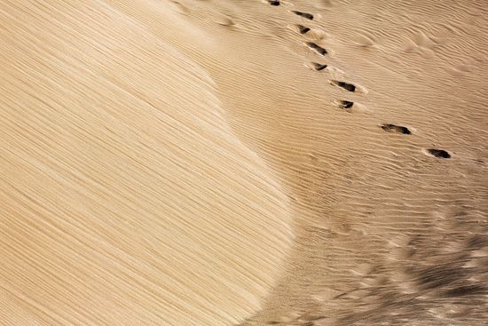 Footprints Sand Ripples Symbolic Image Desert Editorial Stock Photo ...