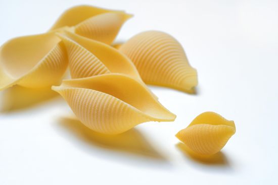 Conchiglione Small Conchiglie Shell Pasta Pasta Editorial Stock Photo ...