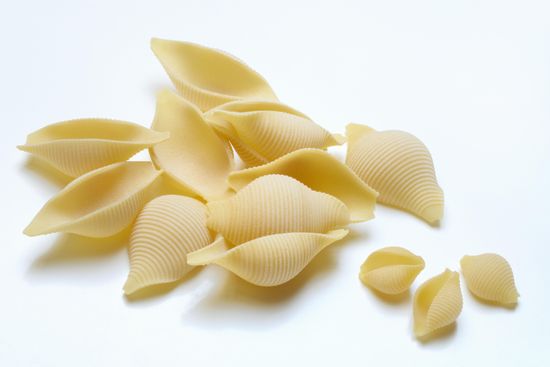 Conchiglione Small Conchiglie Shell Pasta Pasta Editorial Stock Photo ...