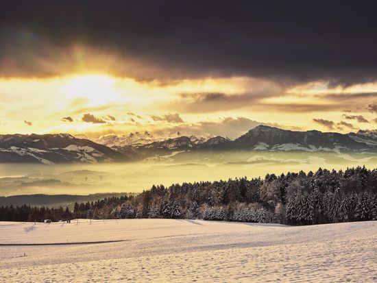 Snowy Forest Sunrise Behind Rigi Horben Editorial Stock Photo - Stock ...