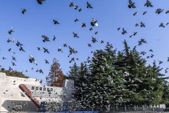 Doves Released During Ninth National Memorial Editorial Stock Photo ...