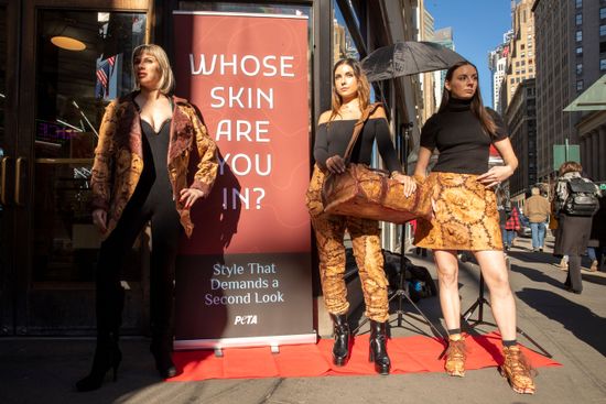 Peta Models Wearing Clothing Made Look Editorial Stock Photo - Stock ...