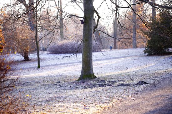 Ripe When Cold Nature District Steglitzzehlendorf Editorial Stock Photo ...