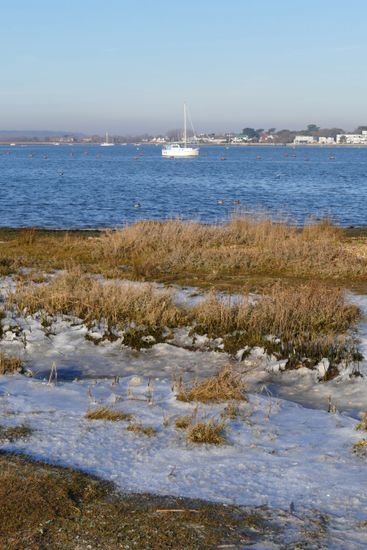Frozen Water Inlets Marshes Mudeford Sandbanks Editorial Stock Photo - Stock Image | Shutterstock