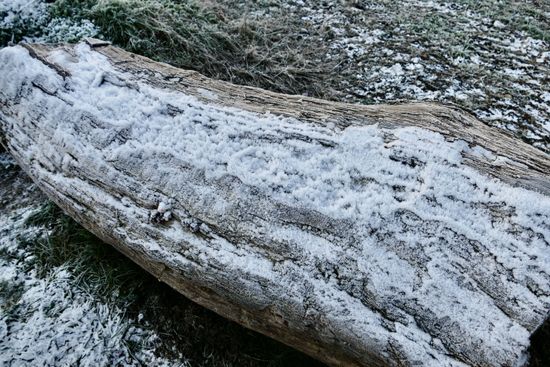 Pretty Frost Covered Landscape Dawn After Editorial Stock Photo - Stock ...