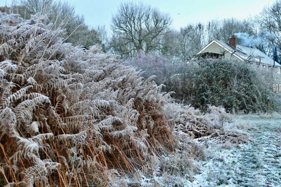 Pretty Frost Covered Landscape Dawn After Editorial Stock Photo - Stock ...