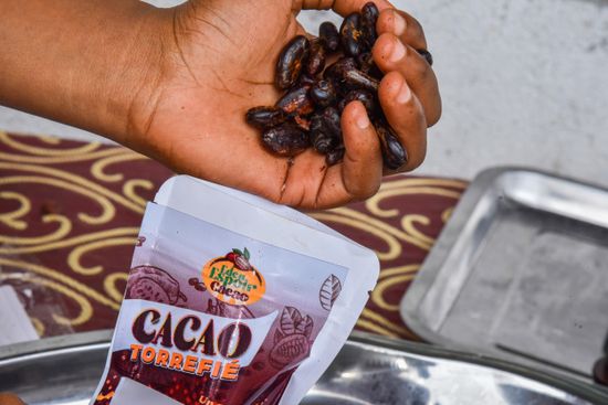 Person Bags Roasted Cocoa Beans Cocoa Editorial Stock Photo - Stock ...