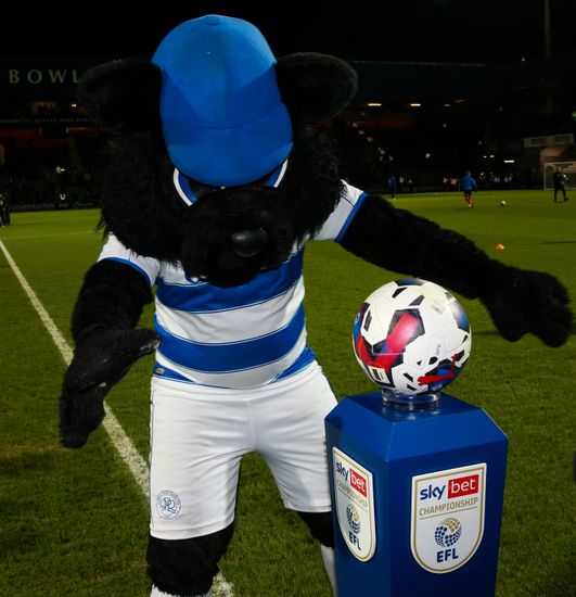 Mascots Flag Bearers First Time Fans Editorial Stock Photo - Stock ...