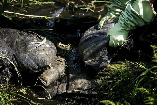 20220518 133623 Meijel Sandbags Form Dam Editorial Stock Photo - Stock ...